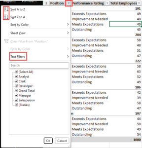 How To Sort And Filter A Pivot Table In Excel | Easy Guide